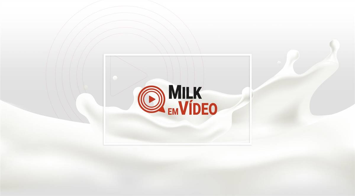 Milk em Vídeo: principais conteúdos da semana (04/11) | MilkPoint