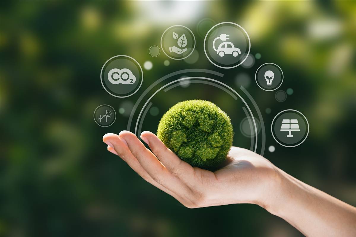 Afinal, quais são os princípios da sustentabilidade? | MilkPoint
