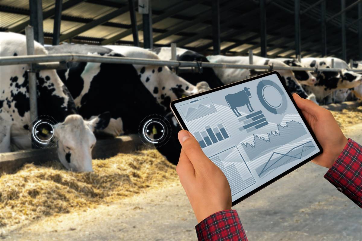 Pecuária de precisão: futuro da produção leiteira | MilkPoint