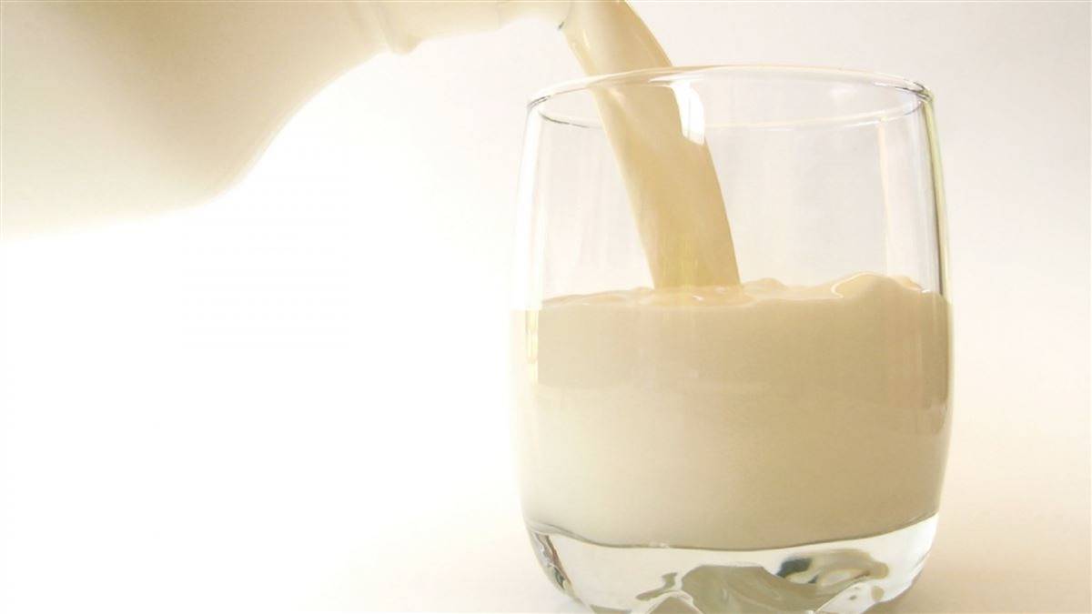 Por que a nata separa do leite? | MilkPoint