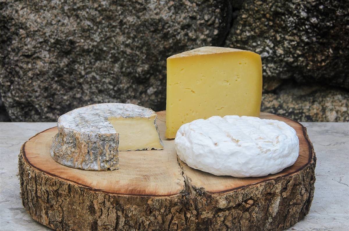 Queijos elaborados a partir de inspirações europeias | MilkPoint
